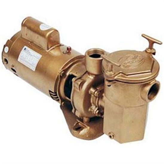 Advantage Commercial Bronze In-Ground Pool Pump 1 HP – Pool Supply Delivery