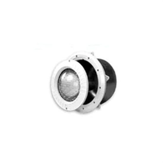 Hayward Duralite 500W 120V Replacement Light With 100' Cord - Stainles ...