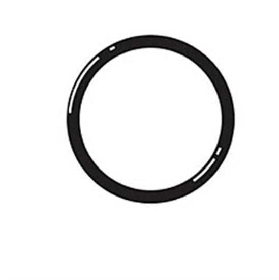 Lasco 2" Union O-Ring Viton – Pool Supply Delivery