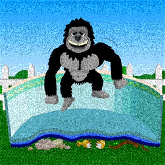 Blue Wave Gorilla 12’ Round Floor Padding - NL119 – Pool Supply Delivery