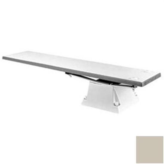 SR Smith Flyte-Deck Stand with 6' Fibre-Dive Board- Dive Board - Silve ...